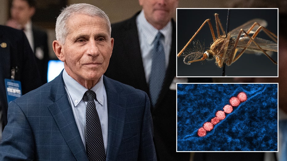 Fauci says West Nile Virus was a ‘harrowing’ experience: ‘Afraid I ...