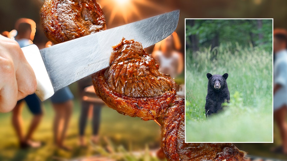 Undercooked bear meat at North Carolina barbecue leaves 10 sickened ...