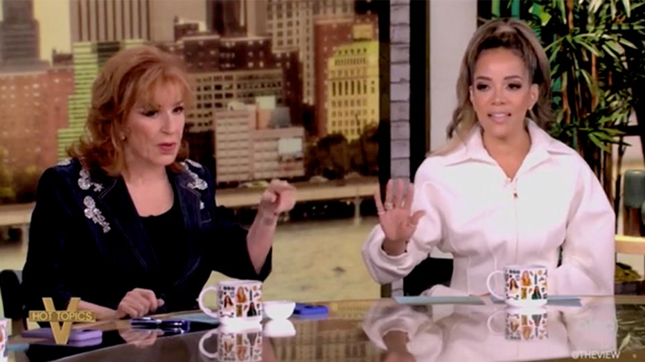 'The View' co-host says Harris 'has a problem with men,' fellow hosts ...
