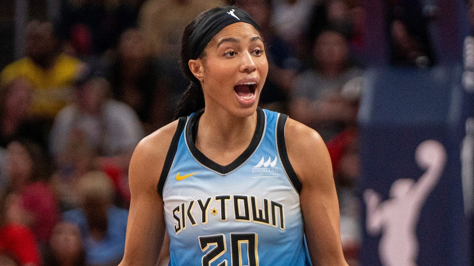 WNBA player in 'complete shock' after Harris loses 'easiest election we ...
