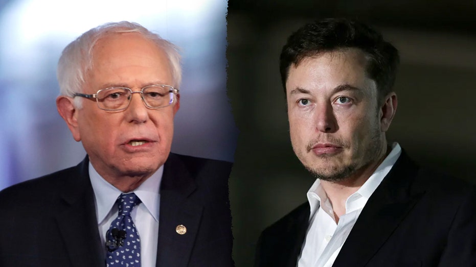 Bernie Sanders admits ‘Elon Musk is right’ to slash Pentagon with DOGE ...