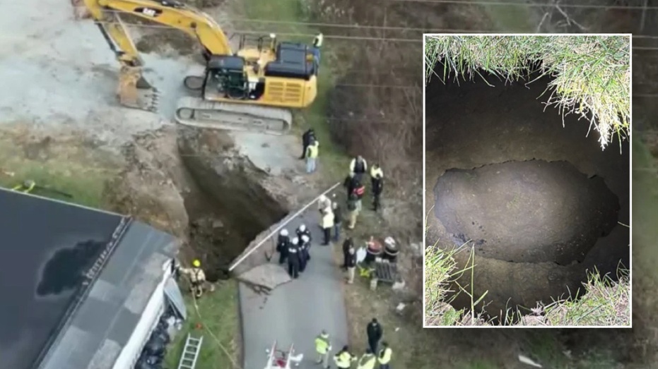 Missing grandma believed to have fallen in sinkhole while searching for ...