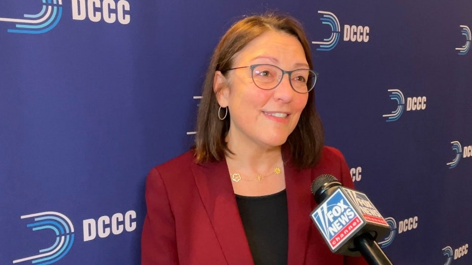'Independent-minded': DCCC chair reveals blueprint for winning back ...