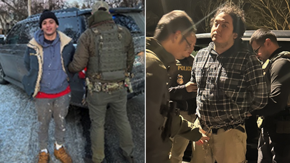 Trump’s ICE nabs child sex offenders among 530+ illegal immigrants caught in single day - FOX 24 ...