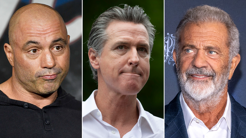 Joe Rogan, Mel Gibson blast Gov. Newsom amid wildfires: 'Personally ...