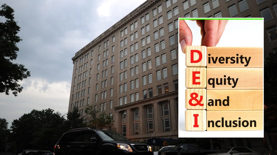 Department of Veterans Affairs places 60 DEI employees on leave with ...