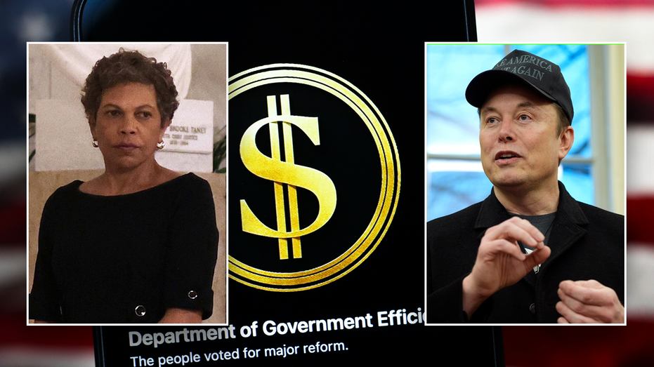 Judge denies Democrat-led effort to block DOGE access, citing lack of proven harm - FOX 24 WTAT