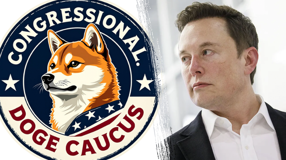 Scoop: More than 100 lawmakers join Congressional DOGE Caucus - FOX 24 WTAT