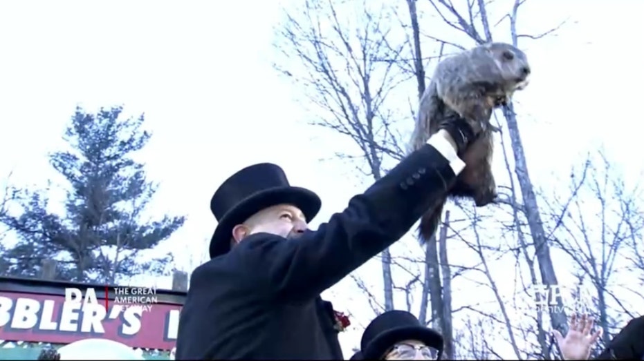 Groundhog Day: Punxsutawney Phil makes annual winter weather prediction ...