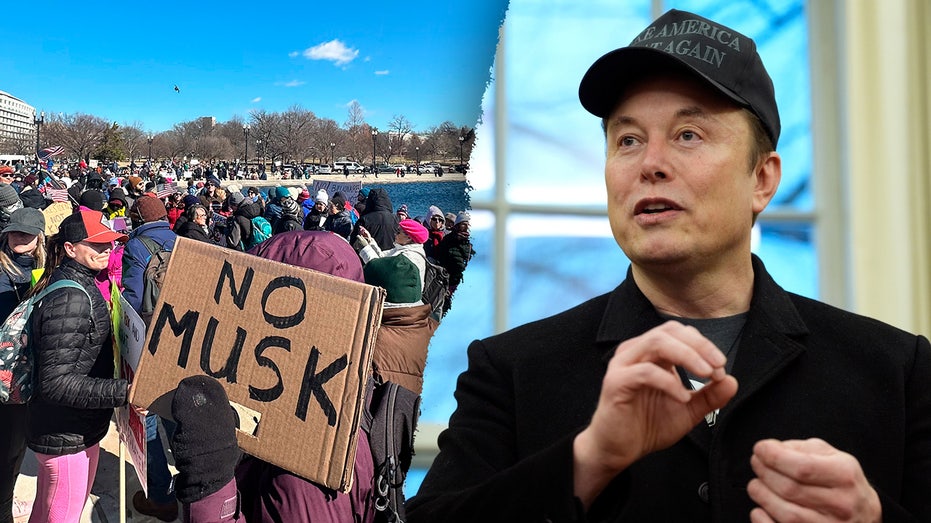Vocal opposition to Elon Musk's DOGE cuts is a 'terrible' strategy ...