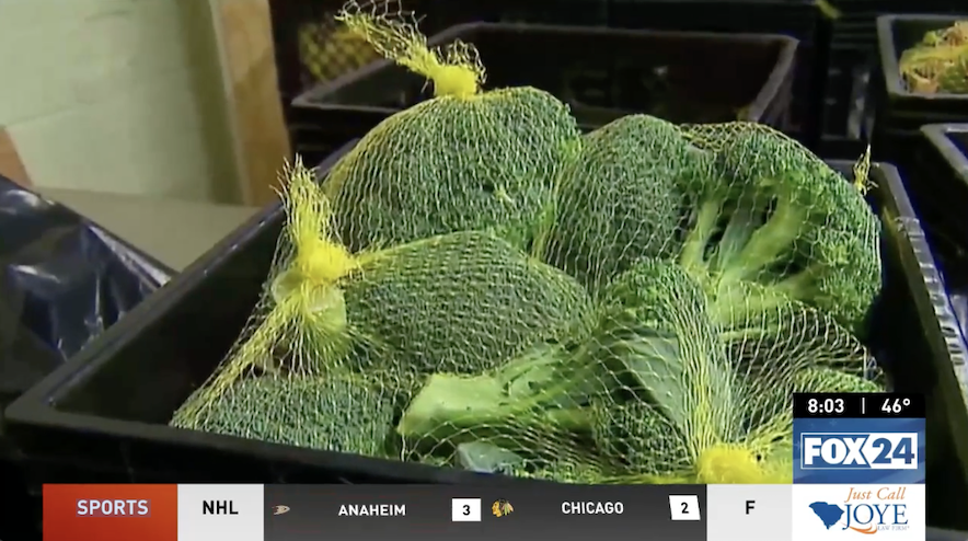 Covering South Carolina - FOX 24 WTAT