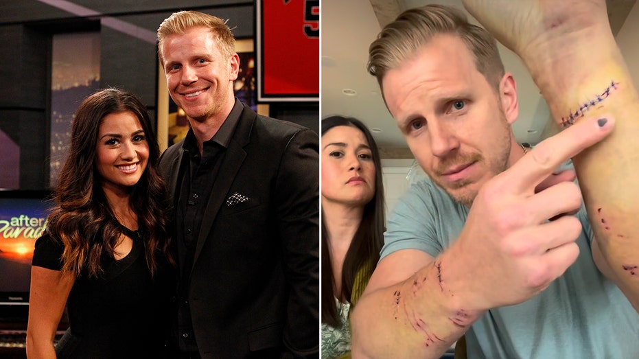 'Bachelor' alum Sean Lowe suffers severe injuries after his dog ...