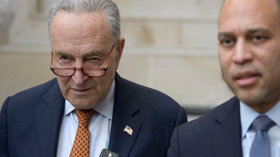 Former Schumer staffer calls for Bernie Sanders and AOC to be leaders ...