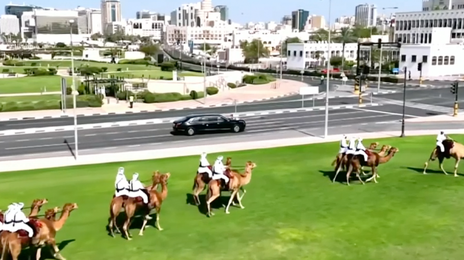 Parade of camels welcome Trump motorcade to Qatar - FOX 24 WTAT