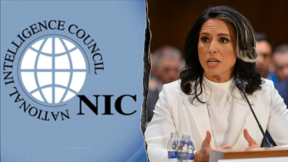 Gabbard fires 'deep state' heads of National Intelligence Council to ...