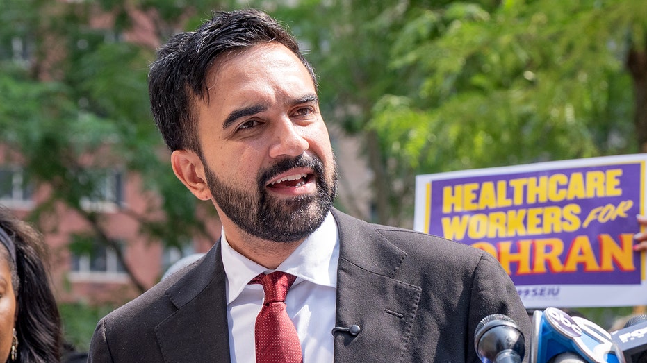 Zohran Mamdani employed woman caught on camera tearing down hostage posters - FOX 24 WTAT