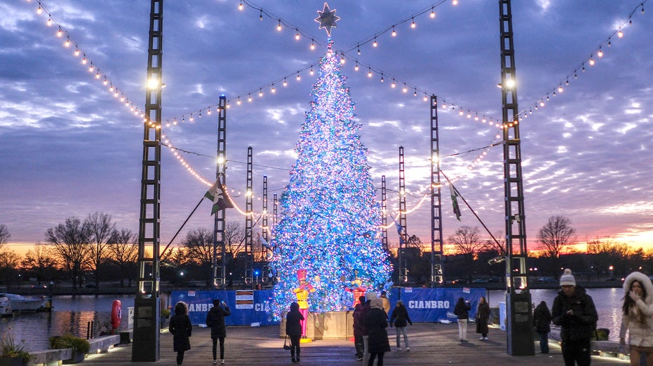 Iconic DC landmark unveils first Christmas tree as part of push to ...