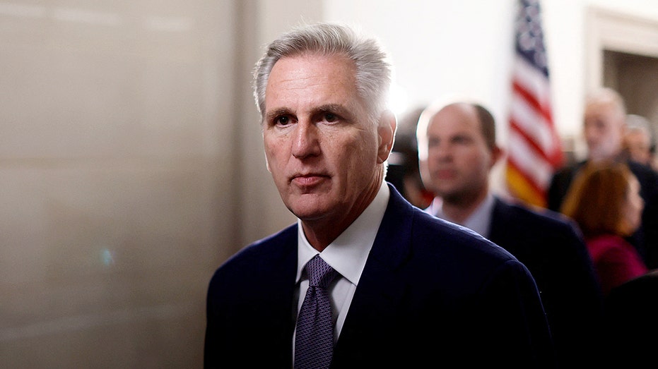 McCarthy blasts Democrats over 'damaging' anti-ICE rhetoric targeting ...
