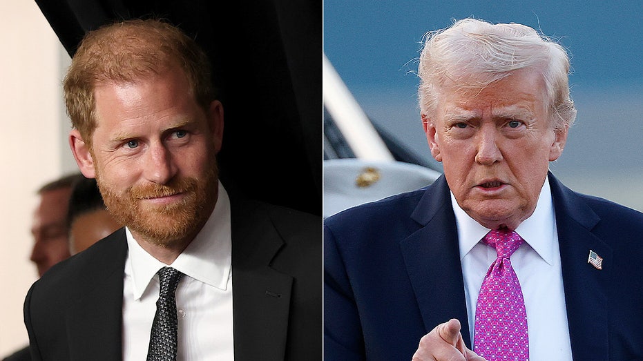 Prince Harry fires back at Trump over NATO criticism: 'I lost friends ...