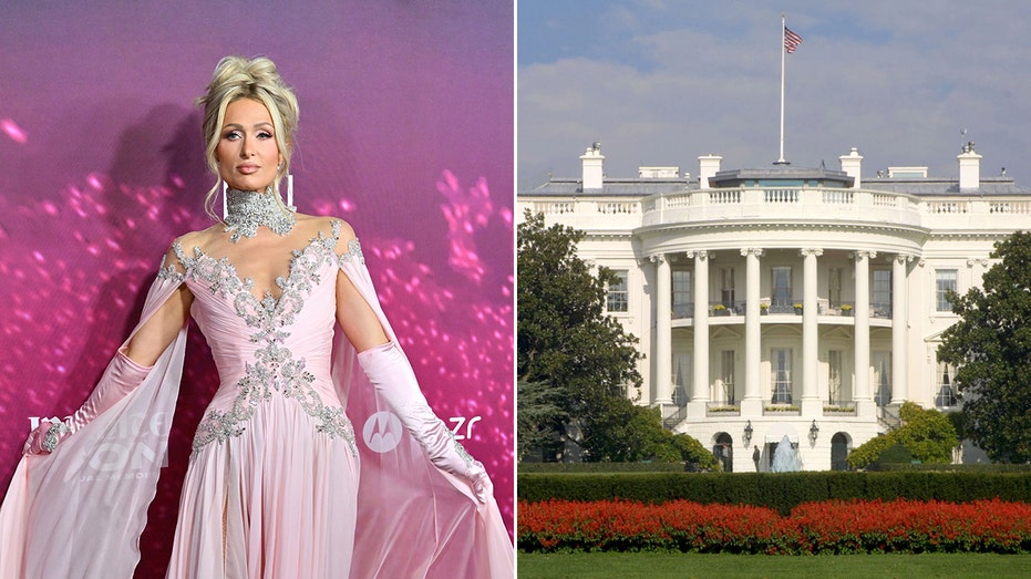 Paris Hilton says she would run for office only if she could 'paint the ...