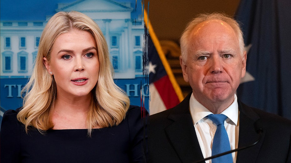 Leavitt calls Minnesota 'land of 10,000 Somali schemes' in scathing ...