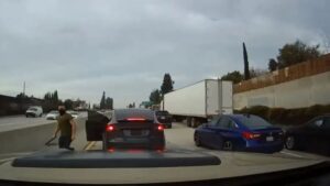 'Tesla Road Rage Driver' sentenced to seven years in prison after ...