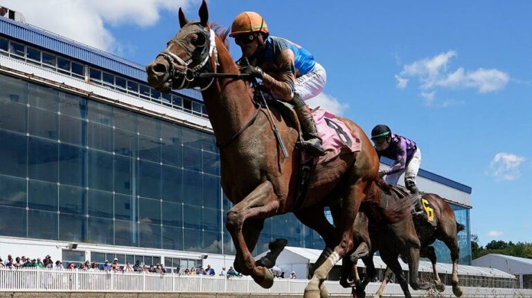 Horse dies after crossing the finish line in his first career race in ...