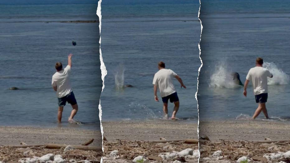 Suspect in viral monk seal harassment video says he was doxxed as ...